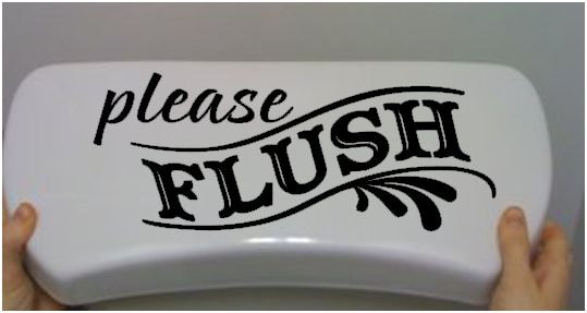 Please Flush Bathroom Vinyl Wall Art on Luulla